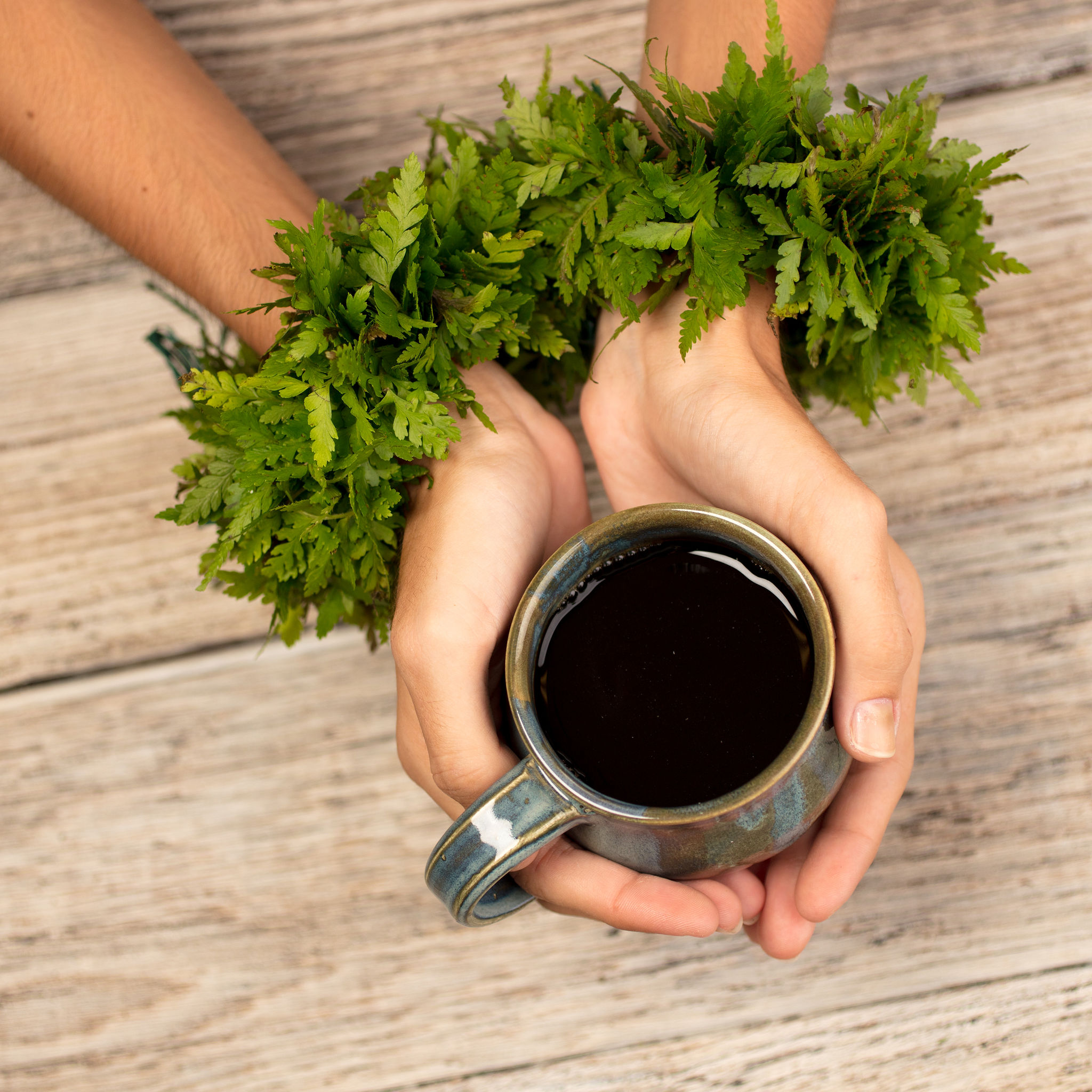 Hala Tree Coffee - Organic Kona Coffee and Coffee Farm Tours